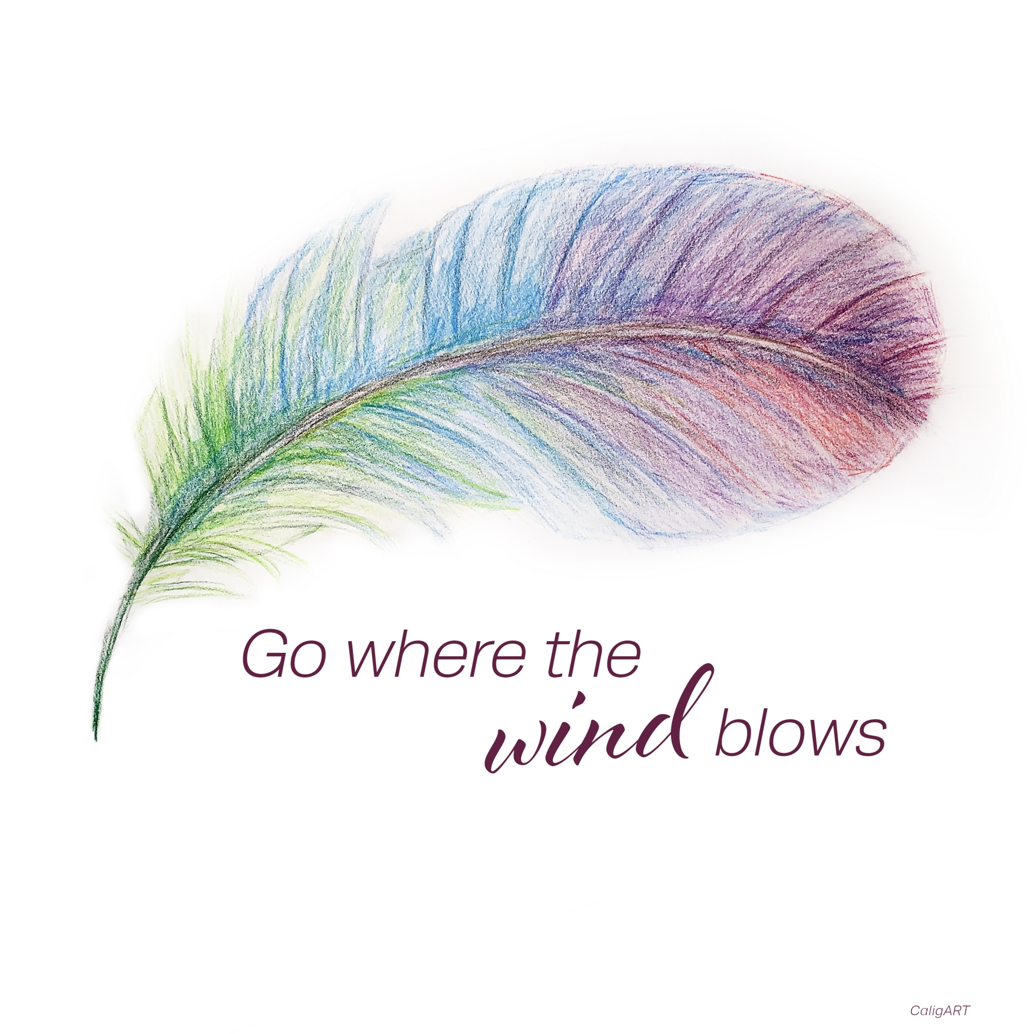 Wind_Feather - Cali-Grafix Design Agency